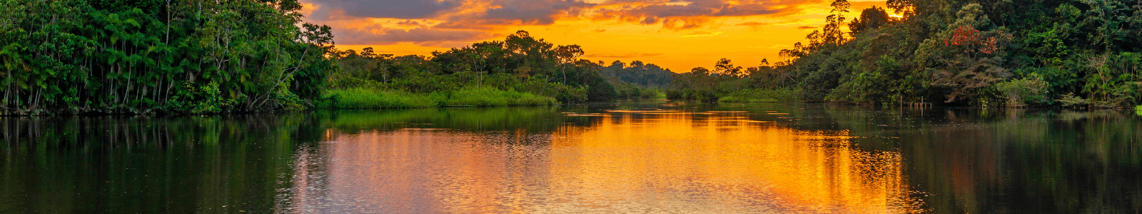 Retirement in Peru - Sergio Vargas Crimi
